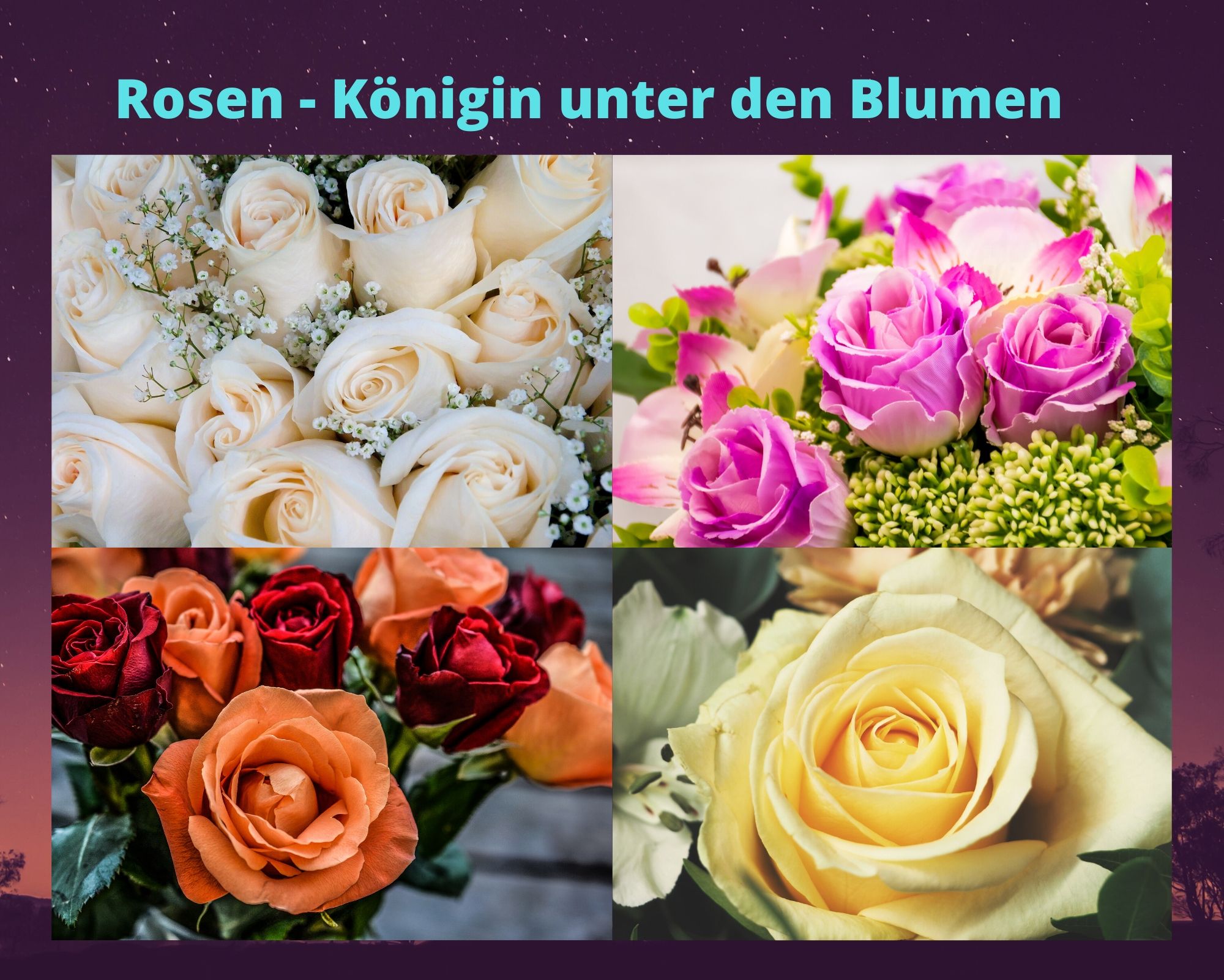 Alles rund um Haus und Garten